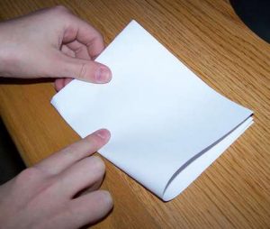 Paper Experiment - Pursue Him International